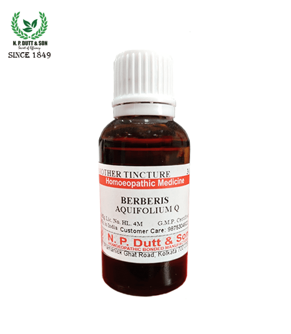 Berberis Aquifolium Q | NP Dutt & Sons
